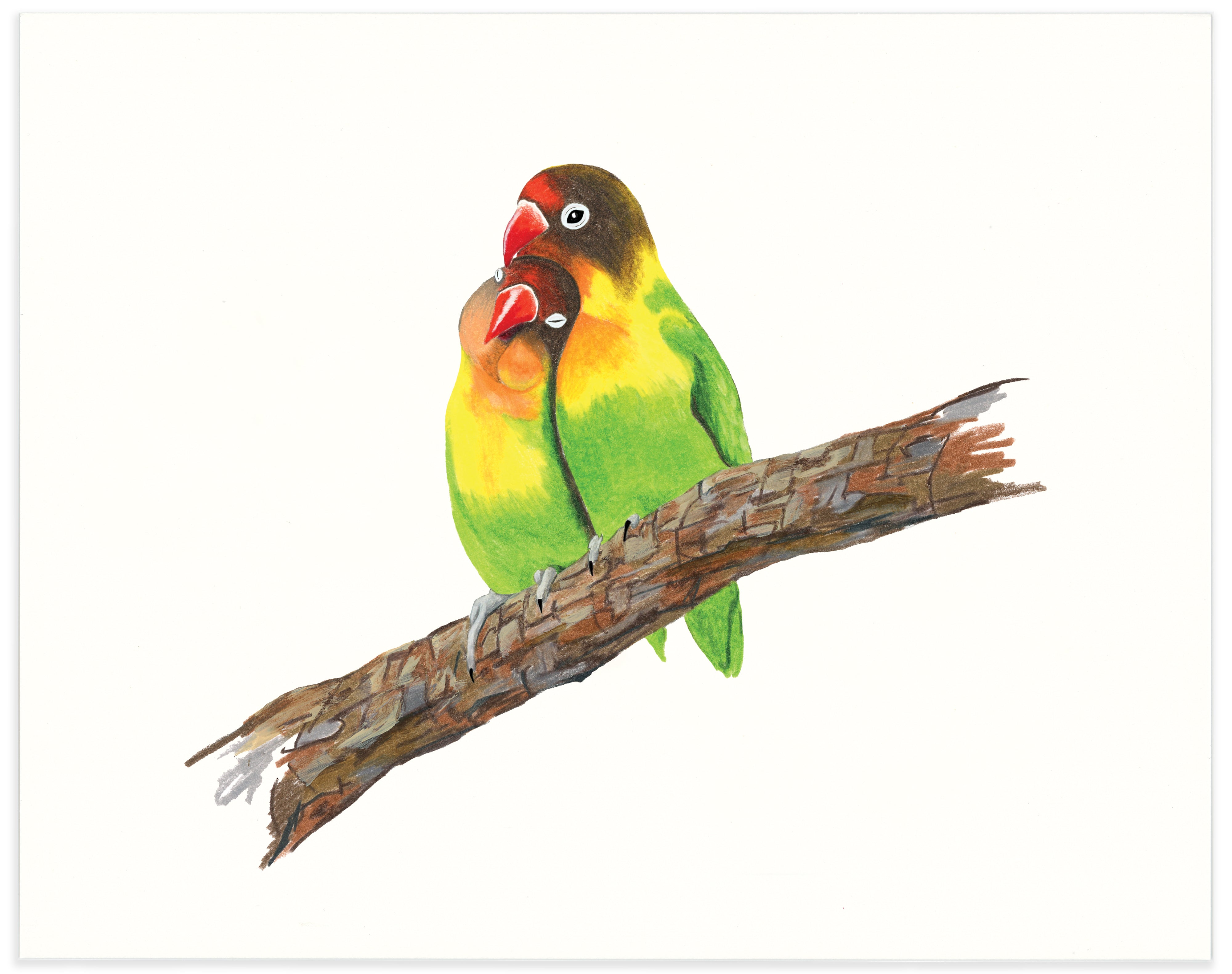 Love Birds Art Print – Good Postage