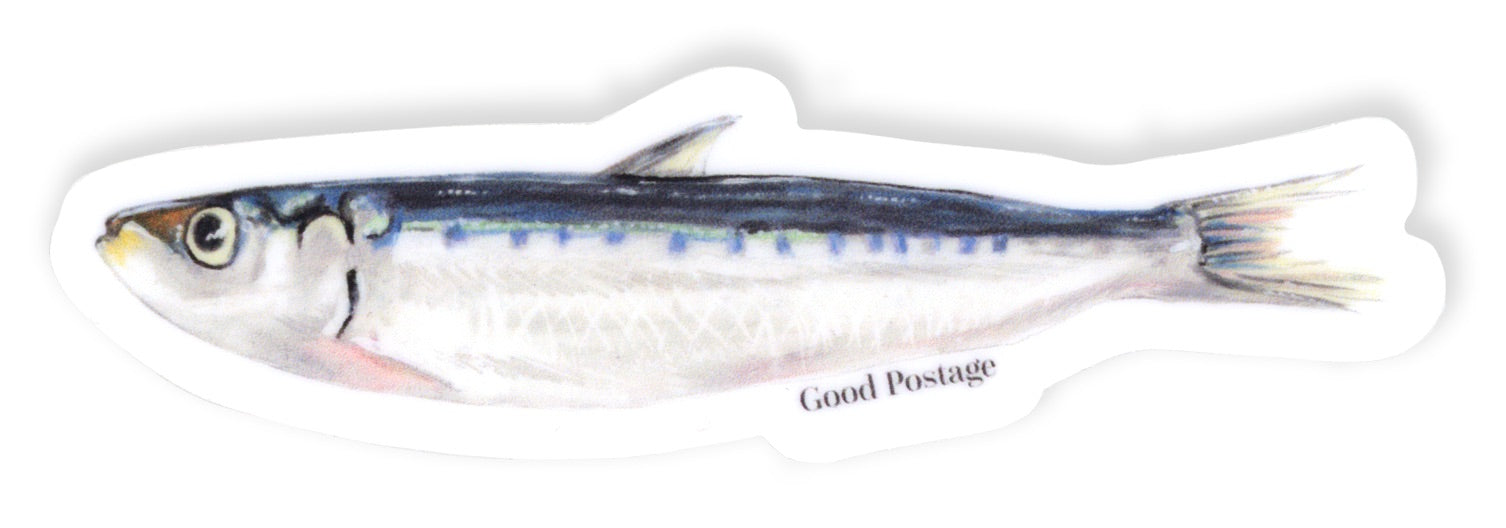 Sardine Sticker – Good Postage